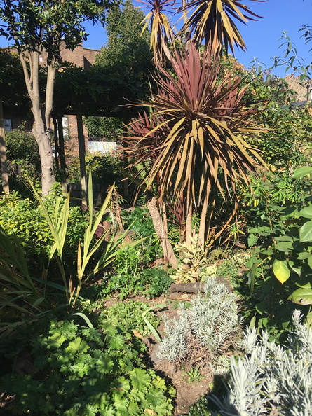Culpeper Community Garden